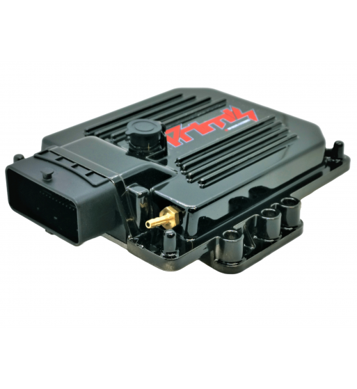 BMW M52 PLUG AND PLAY STANDALONE ECU 320I, 520I, 323I, 523I, Z3, 328I ...
