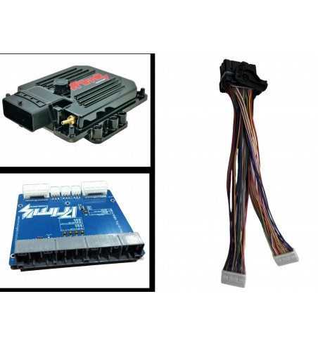 Honda OBD1 Standalone ECU RM Primis Plug and Play ECU for Honda OBD1 ...