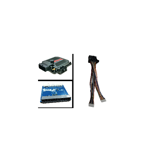 Honda OBD1 Standalone ECU RM Primis Plug and Play ECU for Honda OBD1 ...